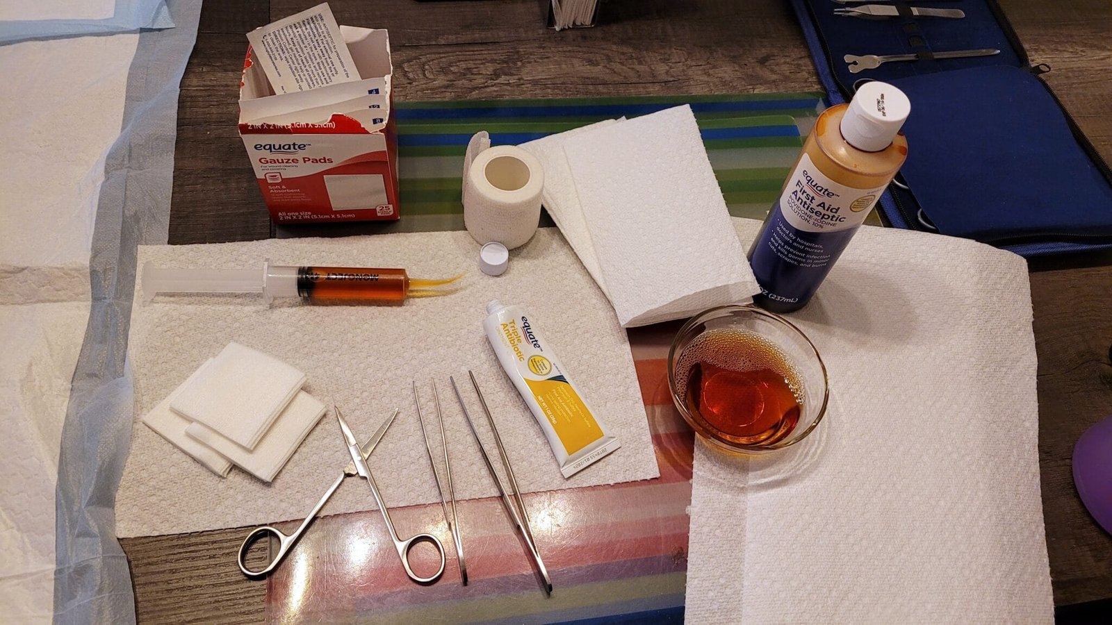 Limping Ducks? Understanding Leg Injuries in Ducks and How to Help