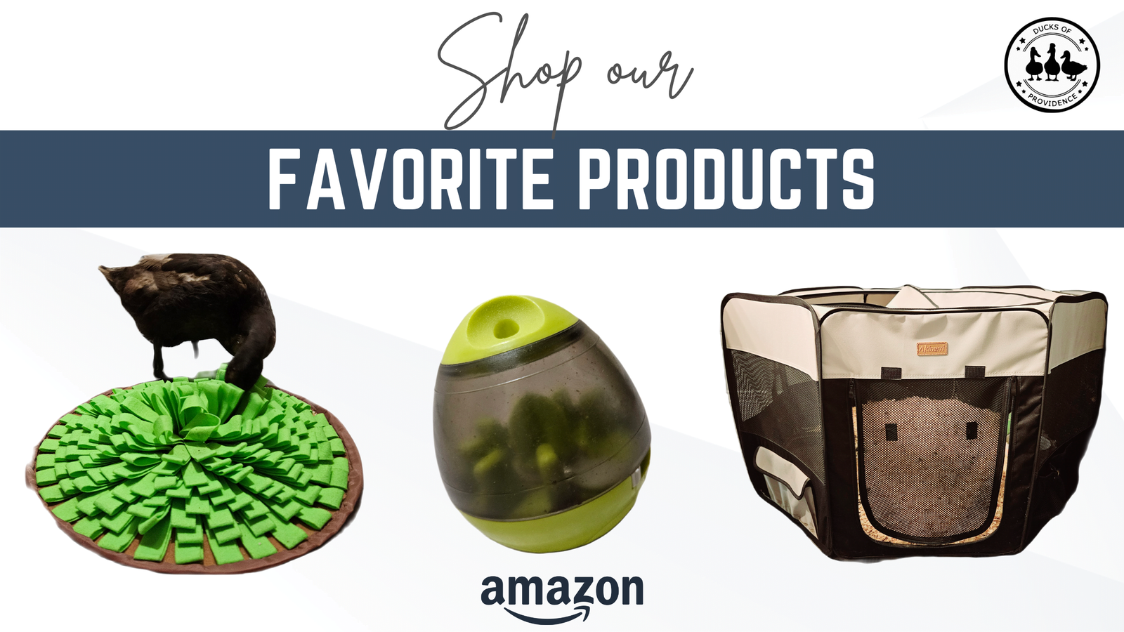 16 Common Duck Health Conditions You Should Know About