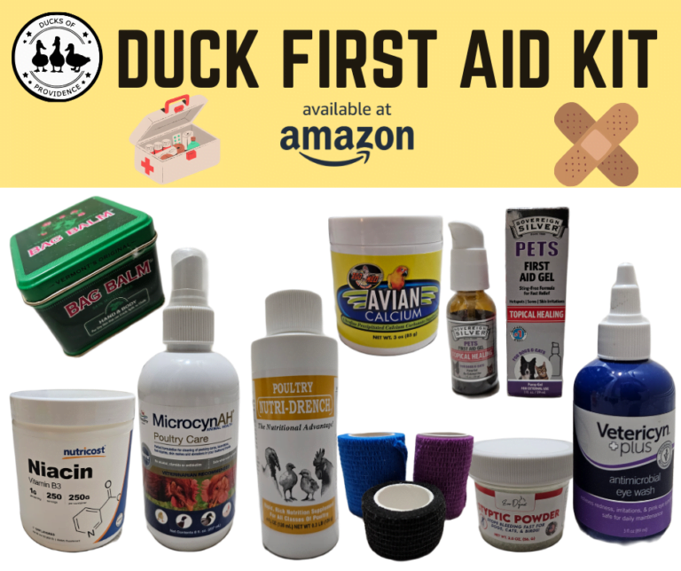 31 Must-have Items for Your Pet Duck First Aid Kit