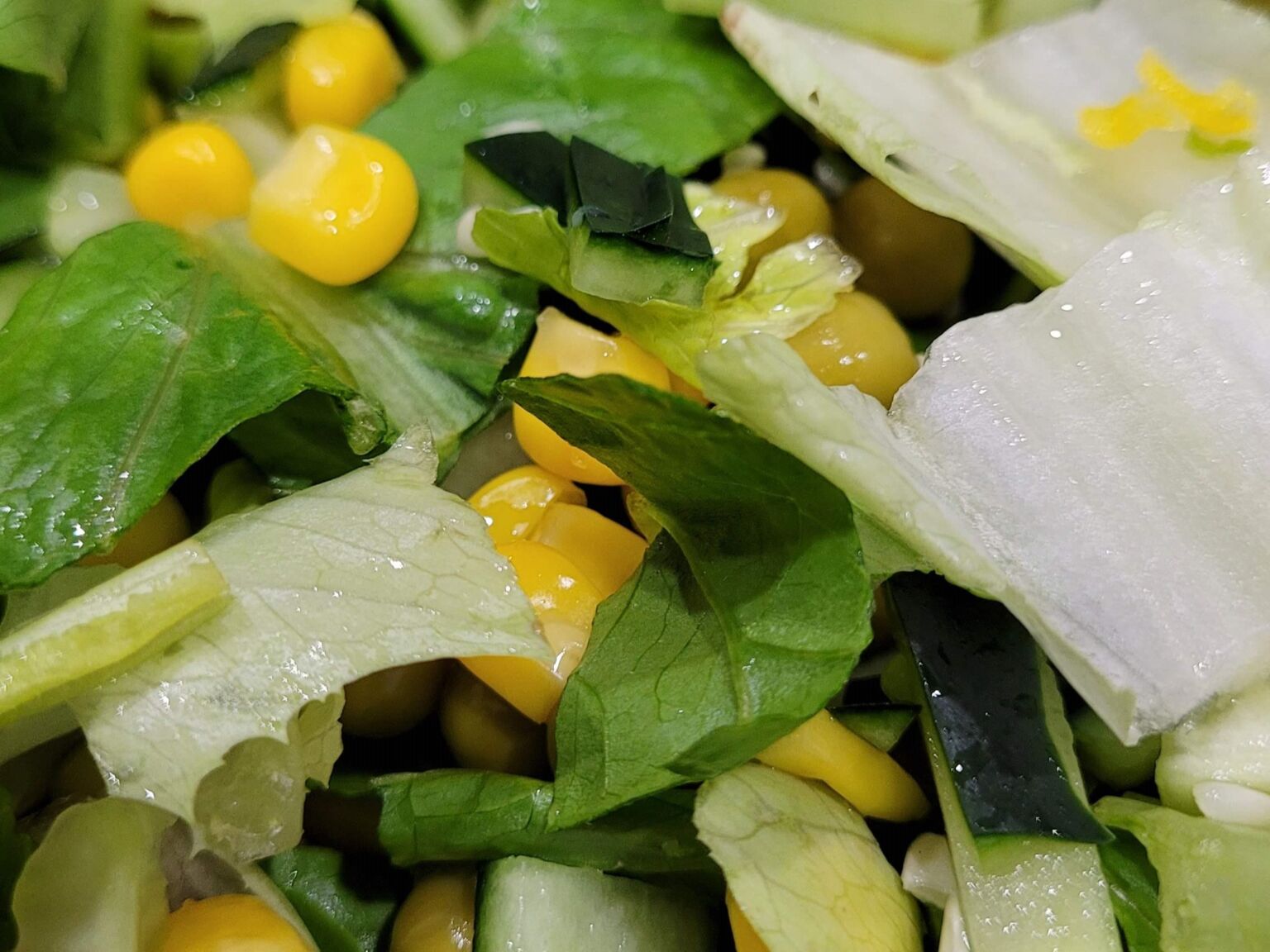 Essential Nutritional Needs of Ducks: A Complete Overview