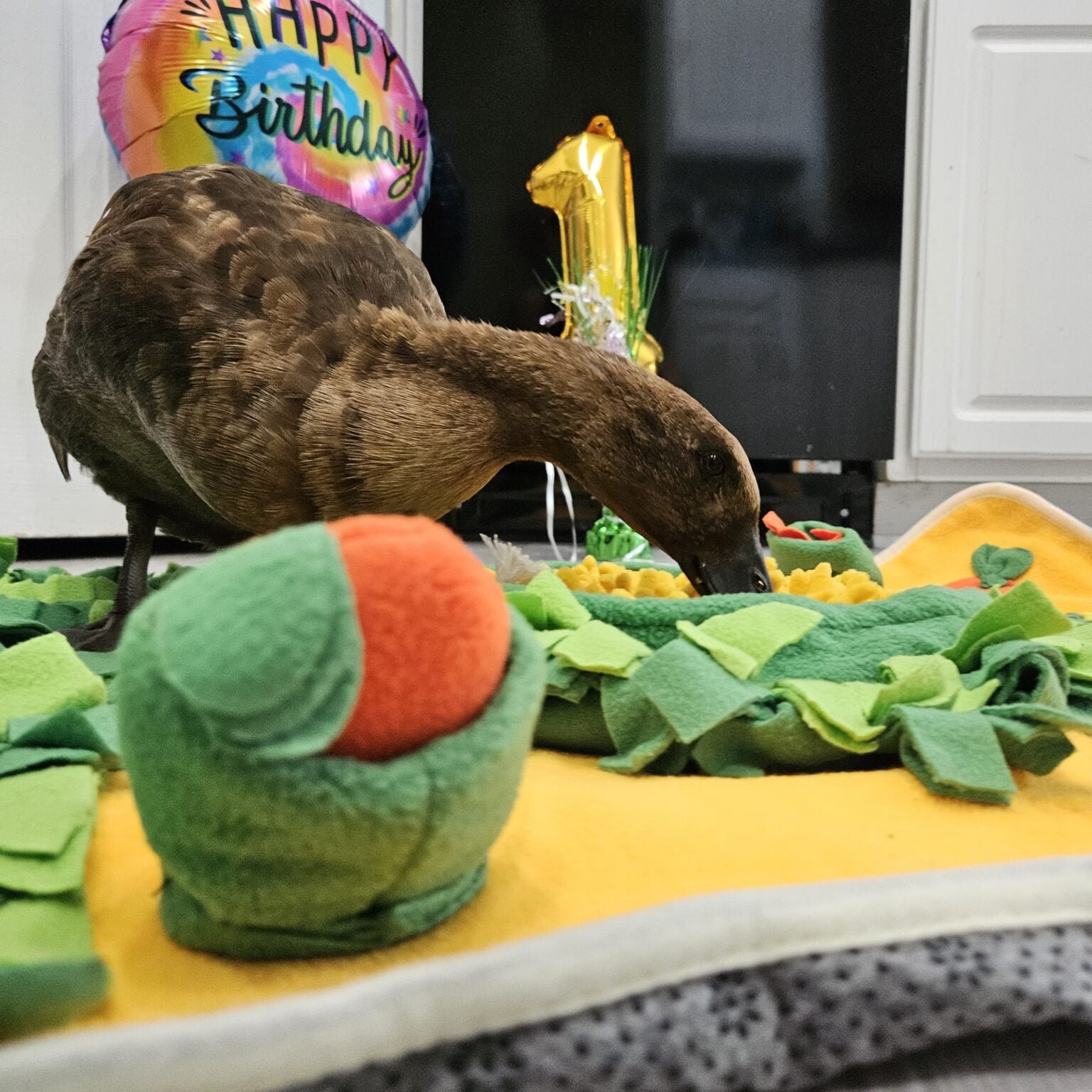 Pet Ducks: The Ultimate Guide to Keeping and Caring for Them