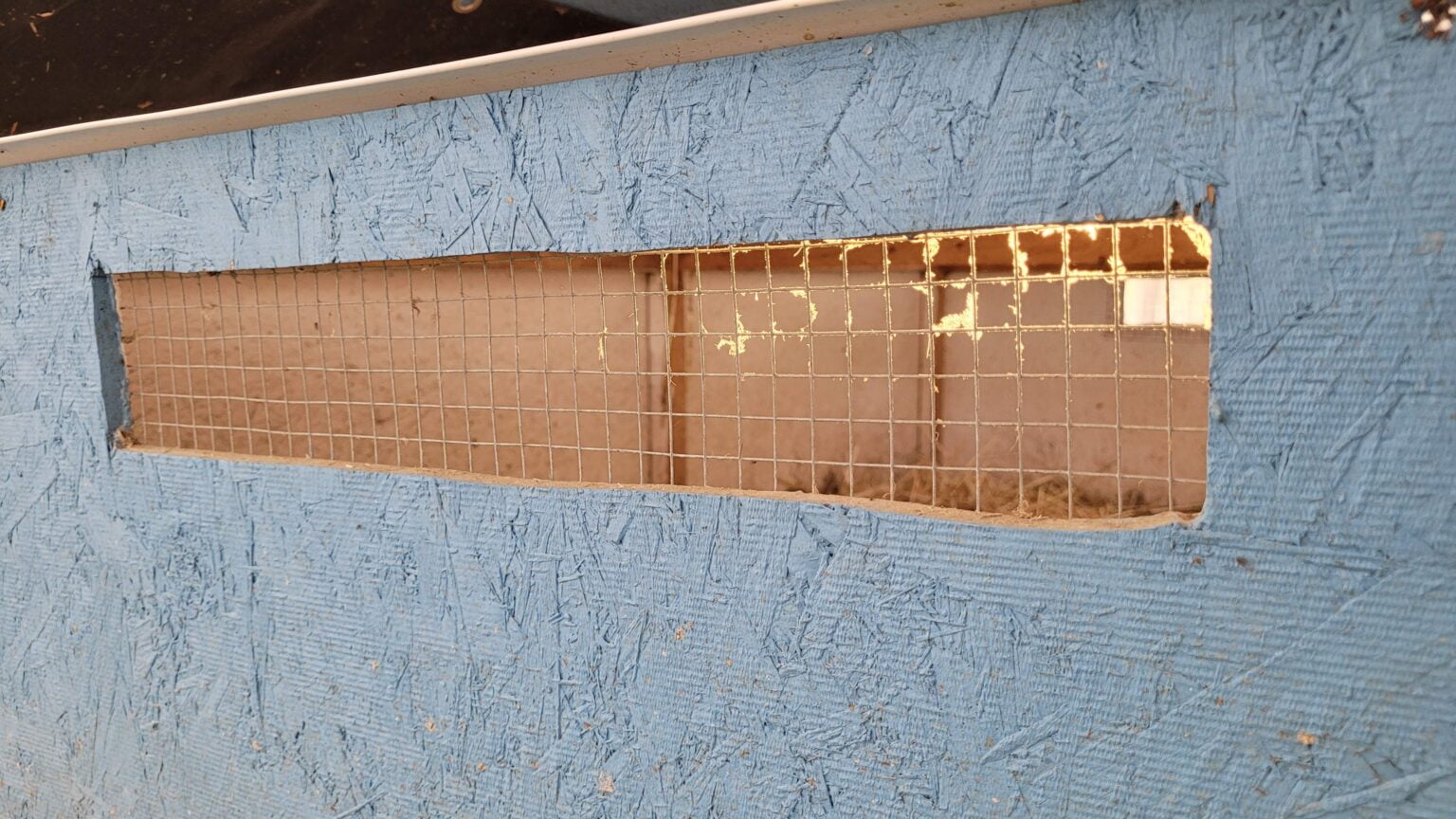 Super Easy DIY Duck House