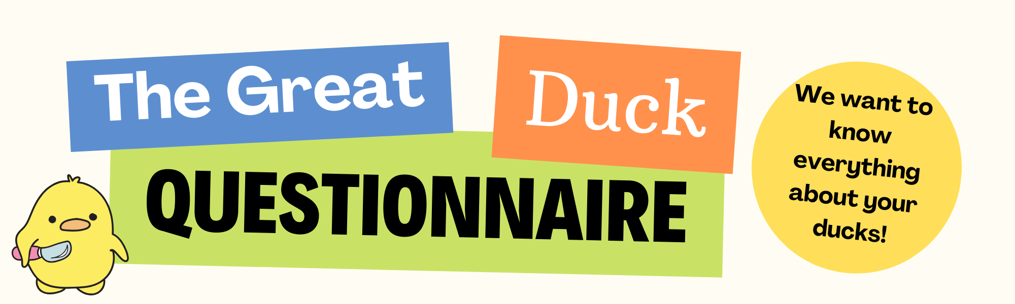 How to Raise Ducklings: A Beginners Guide - Ducks of Providence