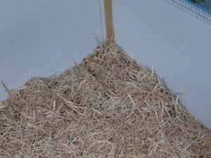 Super Easy DIY Duck House