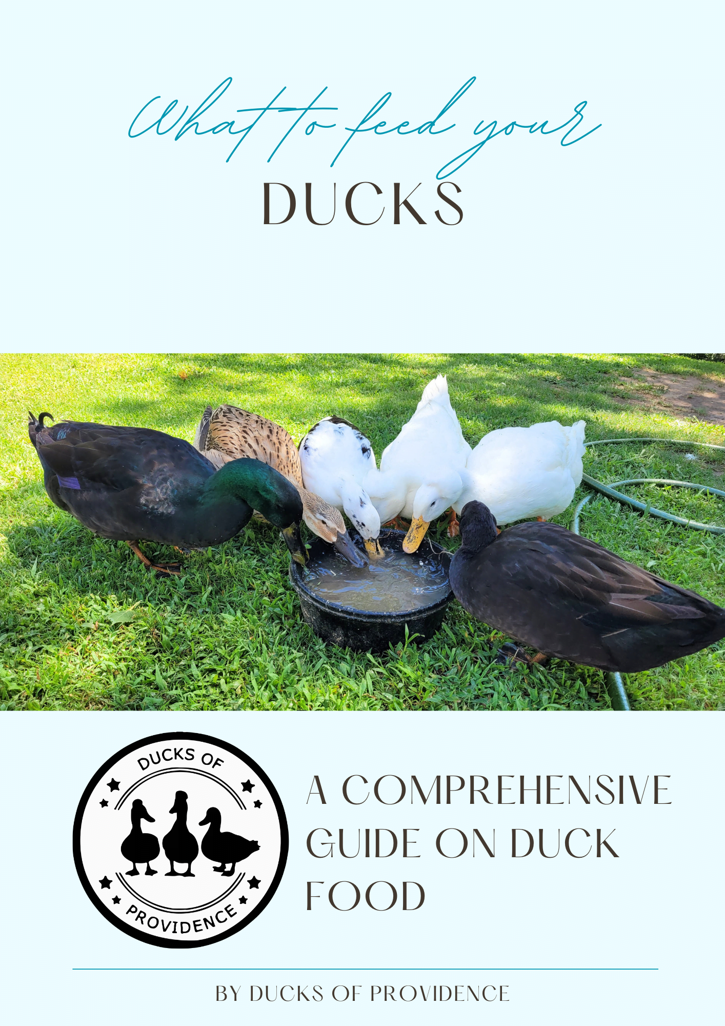 What do Pet Ducks Eat? A Guide to a Healthy and Nutritious Pet Duck Diet