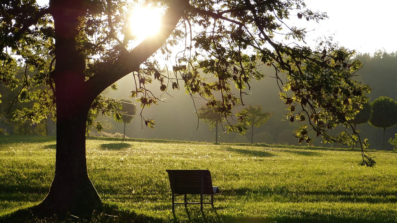 Handling Your Duck's Passing: Coping with Loss