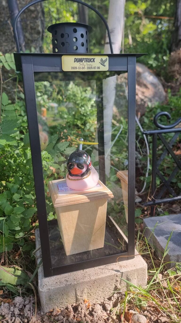 Handling Your Duck's Passing: Coping with Loss