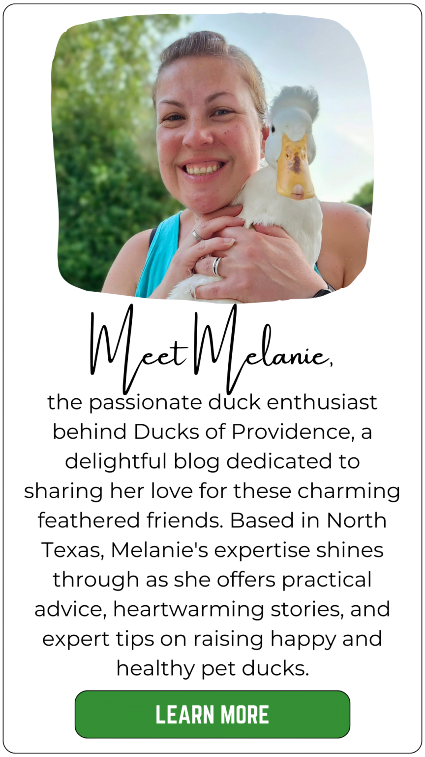 Duck Quacking Explained