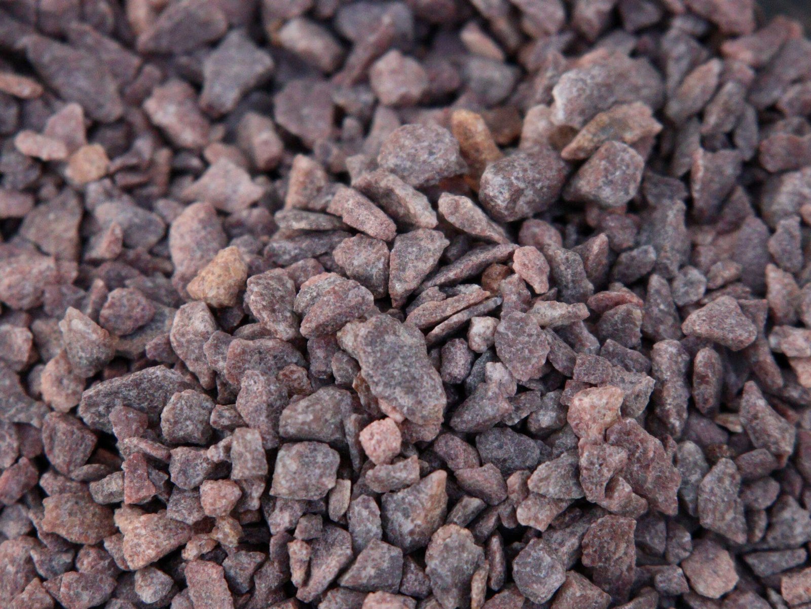 Grit for Ducks - Do they really need it? An Essential Guide