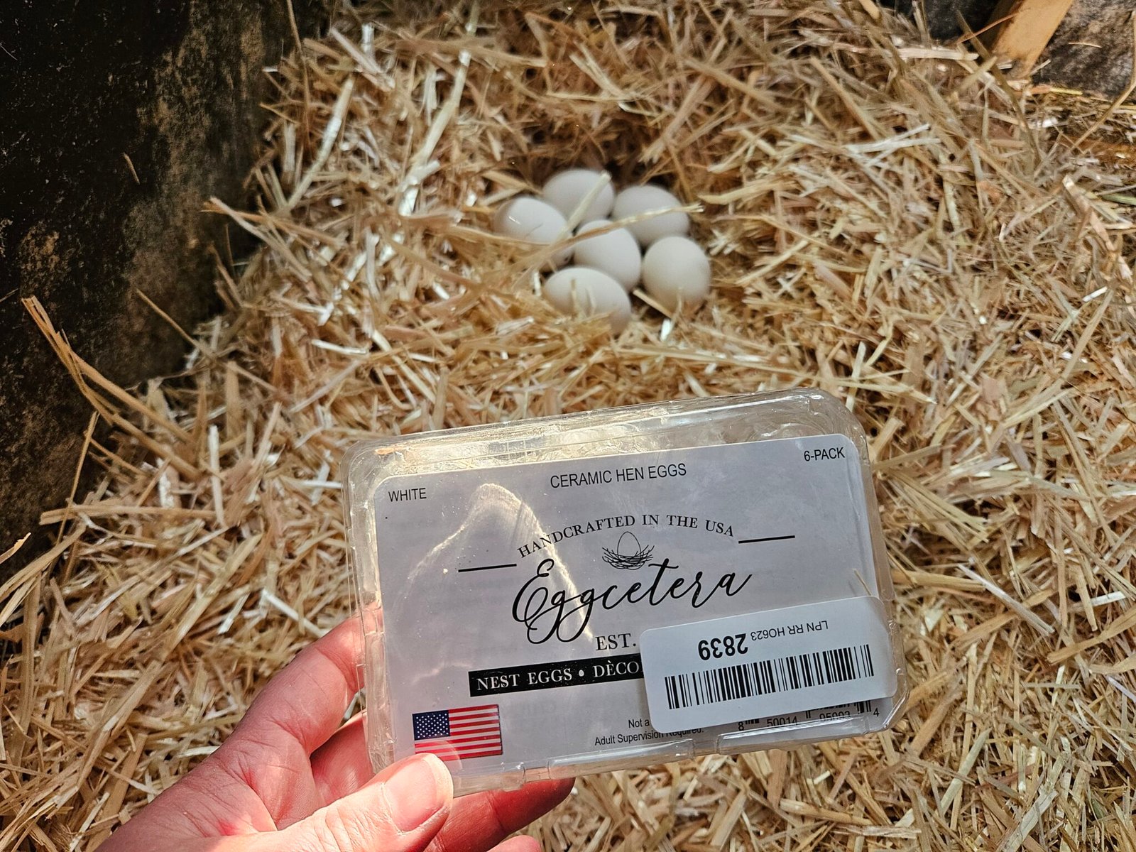 Reproductive Issues in Ducks: What They Are, Why They Happen, and How ...