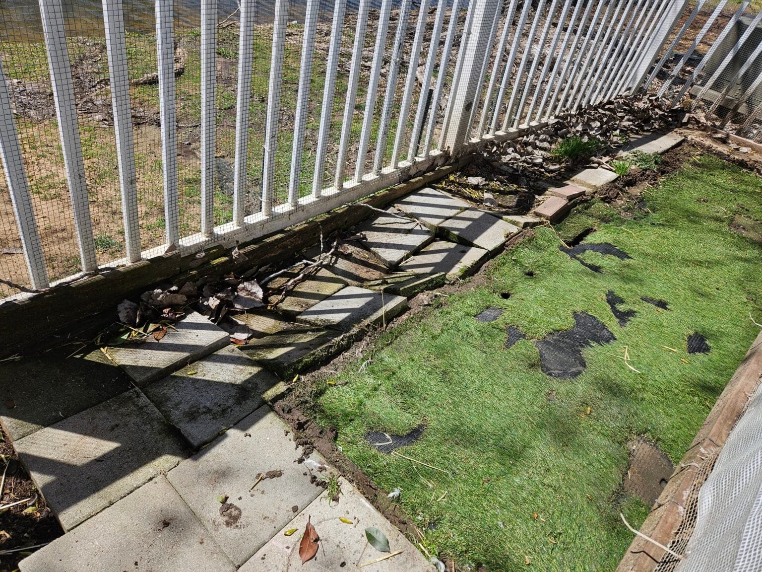 Rodent Control in the Duck Run: Safe and Effective Strategies for Duck ...