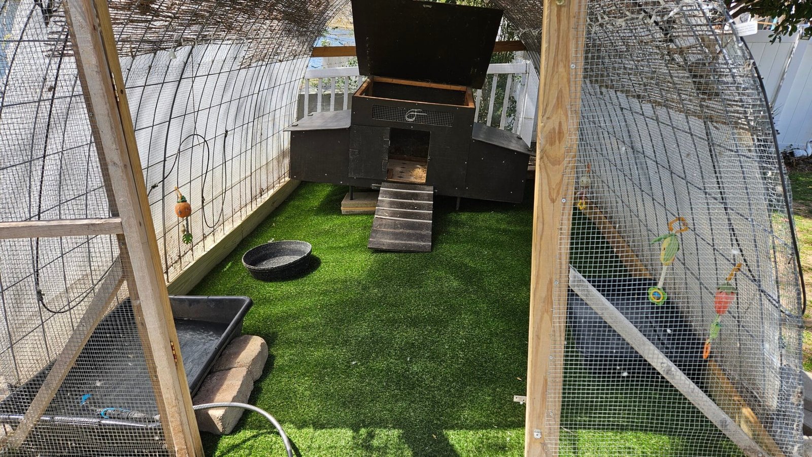 Rodent Control in the Duck Run: Safe and Effective Strategies for Duck ...